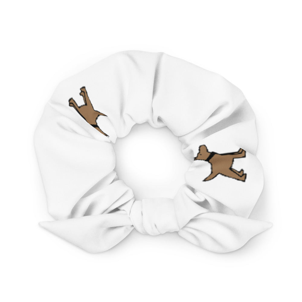 Karel Scrunchie – CodeHS